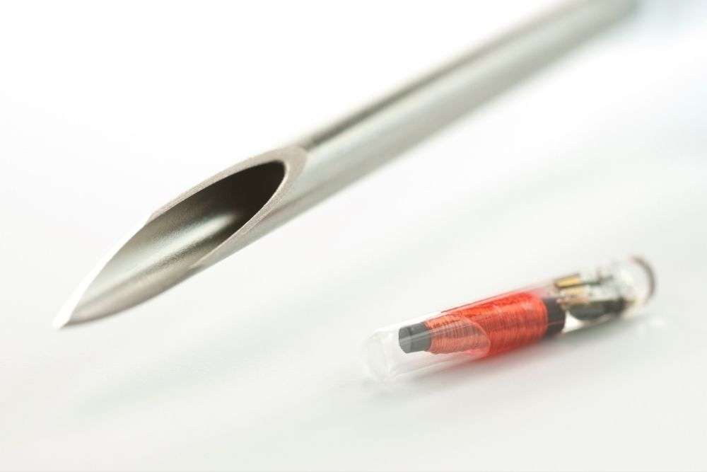 Is There a Pet Microchip With GPS? ANSWERED - Walkies and Whiskers