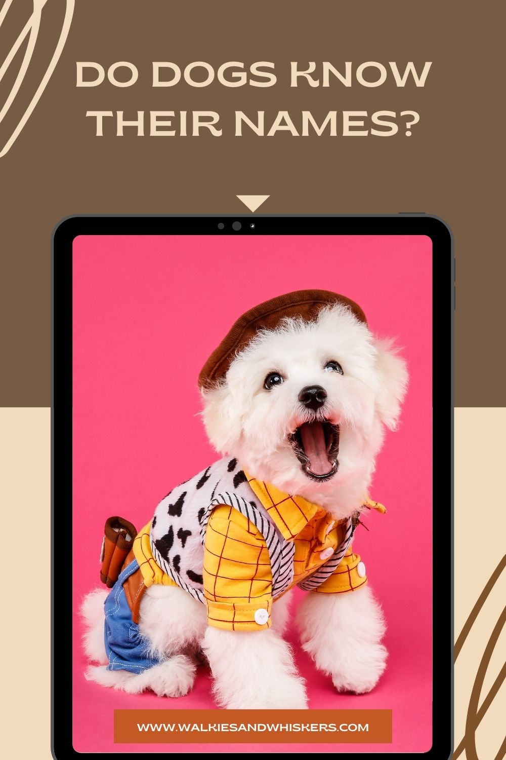 Do Dogs Know Their Names Walkies And Whiskers