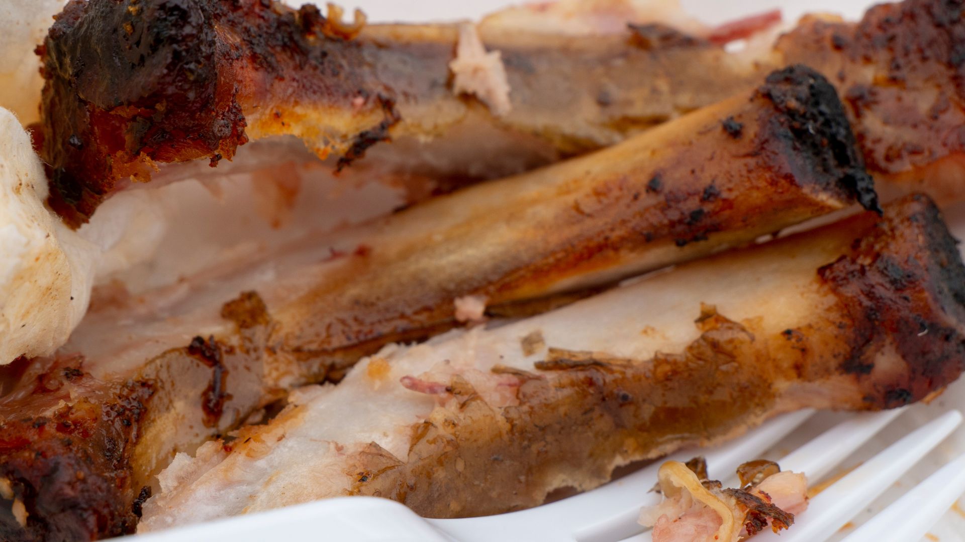 Dog Ate A Rib Bone - What to Do! - Walkies and Whiskers