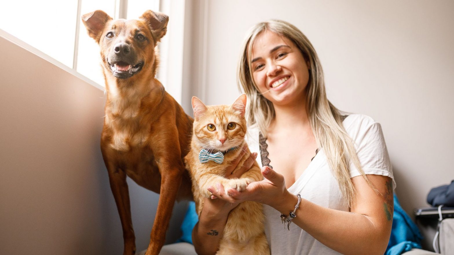 8 Pet Apps for Dog and Cat Lovers - Walkies and Whiskers